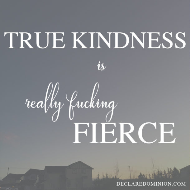 A Fierce Kindness - Declare Dominion