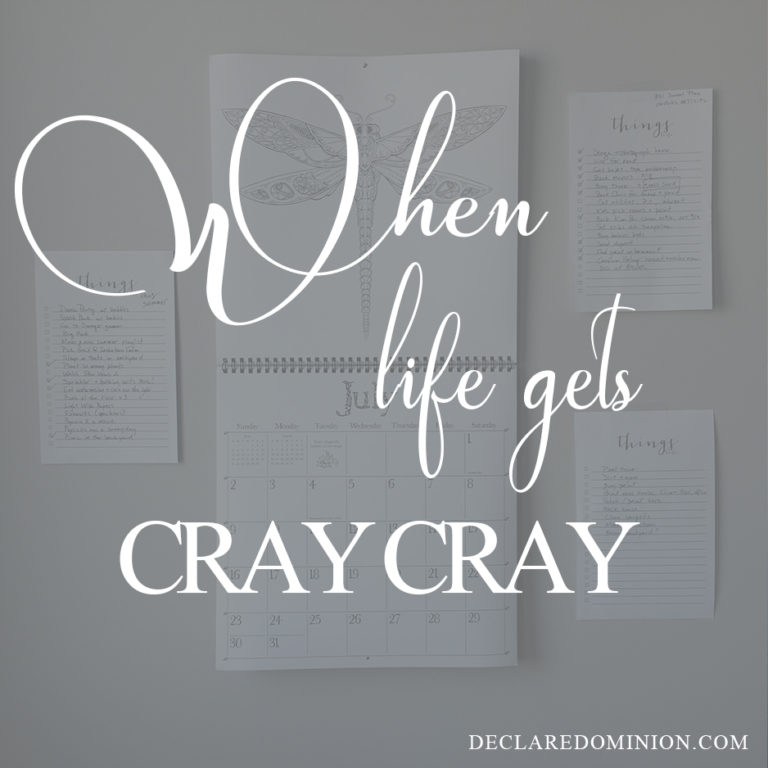 When life is CRAY CRAY - Declare Dominion