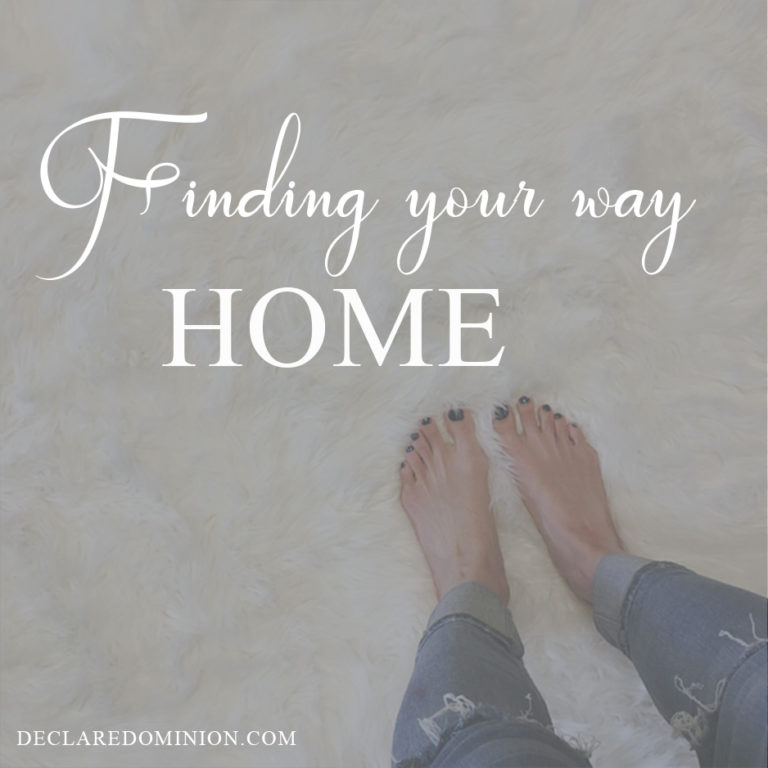 Finding your way home - Declare Dominion